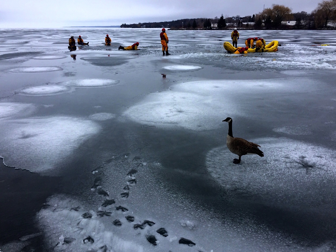 Reach, throw, row, go! - BarrieToday.com